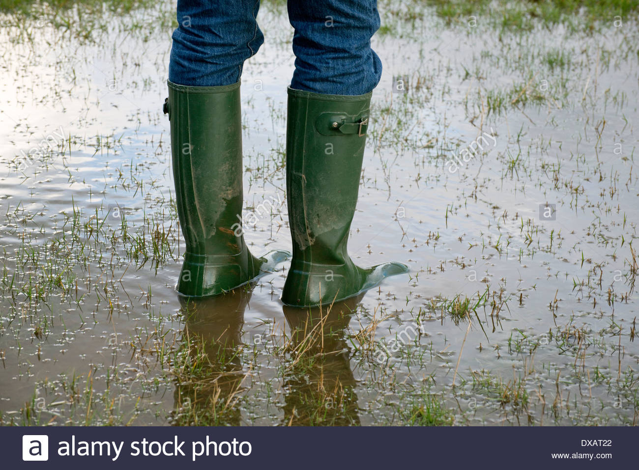 Welly Boots Stock Photos & Welly Boots Stock Images - Alamy