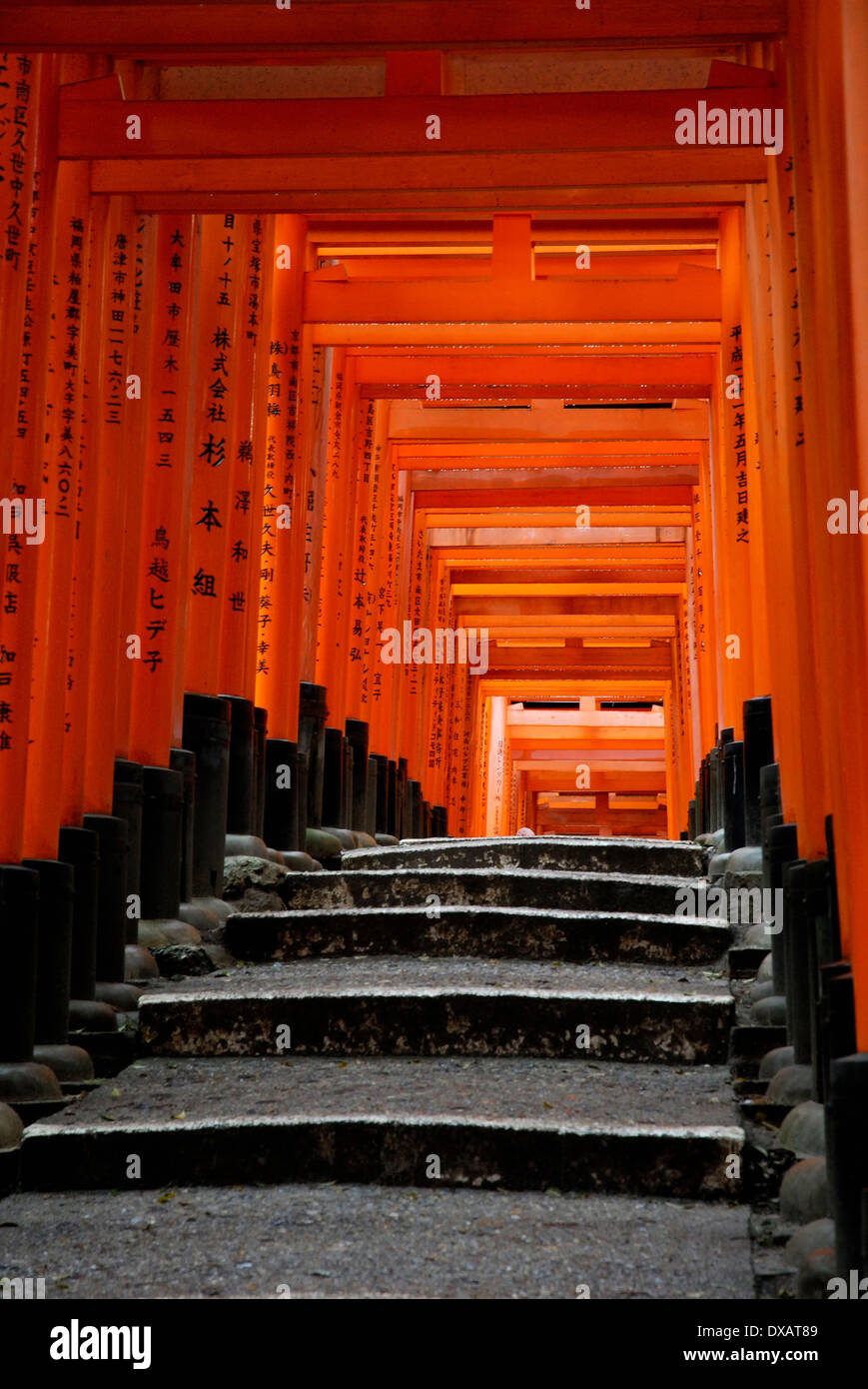 Torii gates hi-res stock photography and images - Alamy