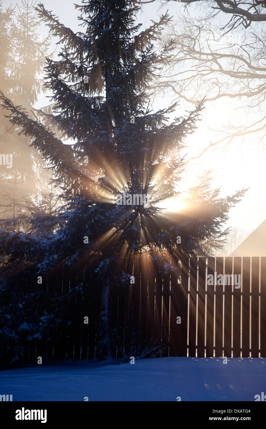 Christmas morning sunrise hi-res stock photography and images - Alamy