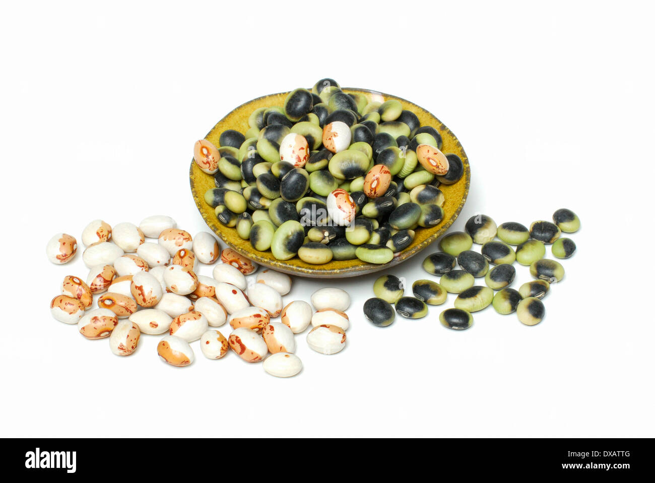 Soybean hi-res stock photography and images - Alamy