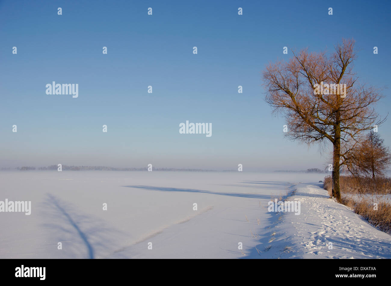 Beautiful winter landscape tree hi-res stock photography and images - Alamy