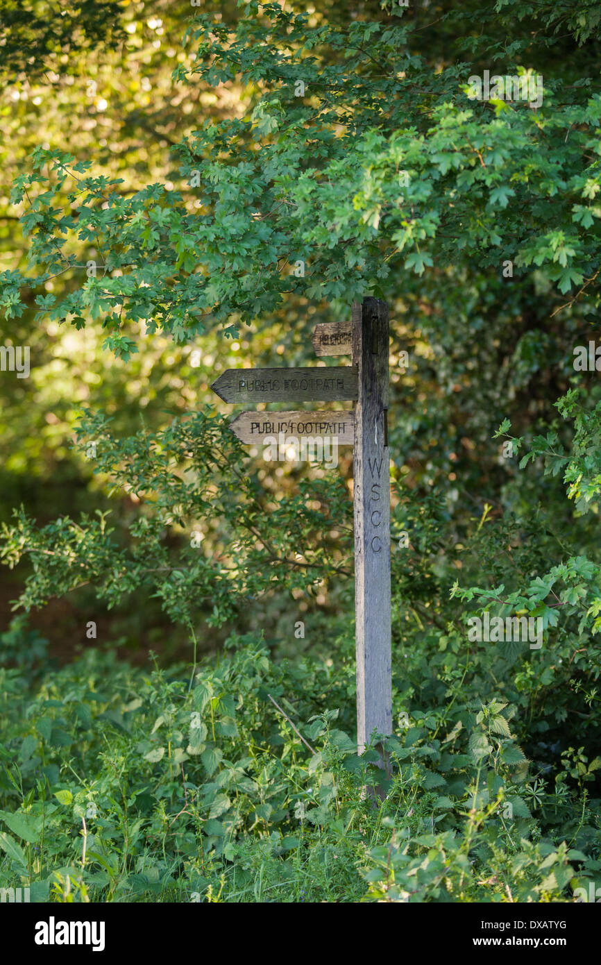 West sussex footpath hi-res stock photography and images - Alamy
