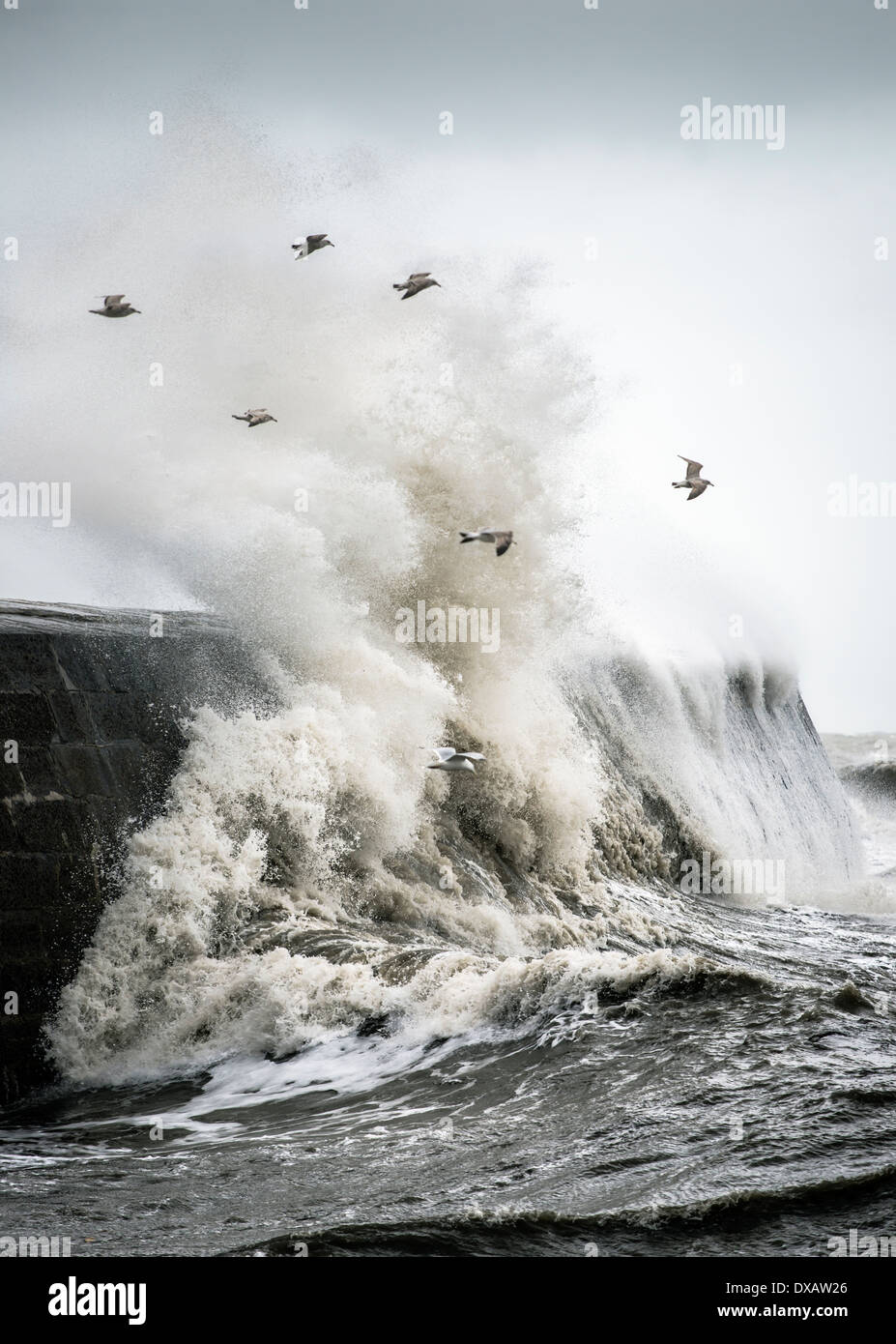 Man made wave hi-res stock photography and images - Alamy
