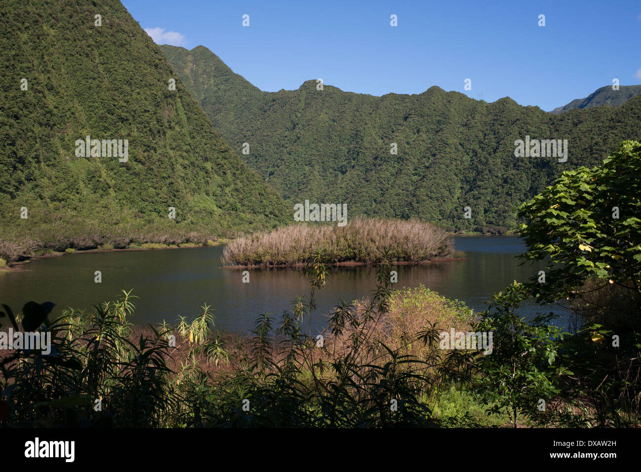 Trekking around Grand Etang Lake. Point de vue sur Grand Etang.Here is ...