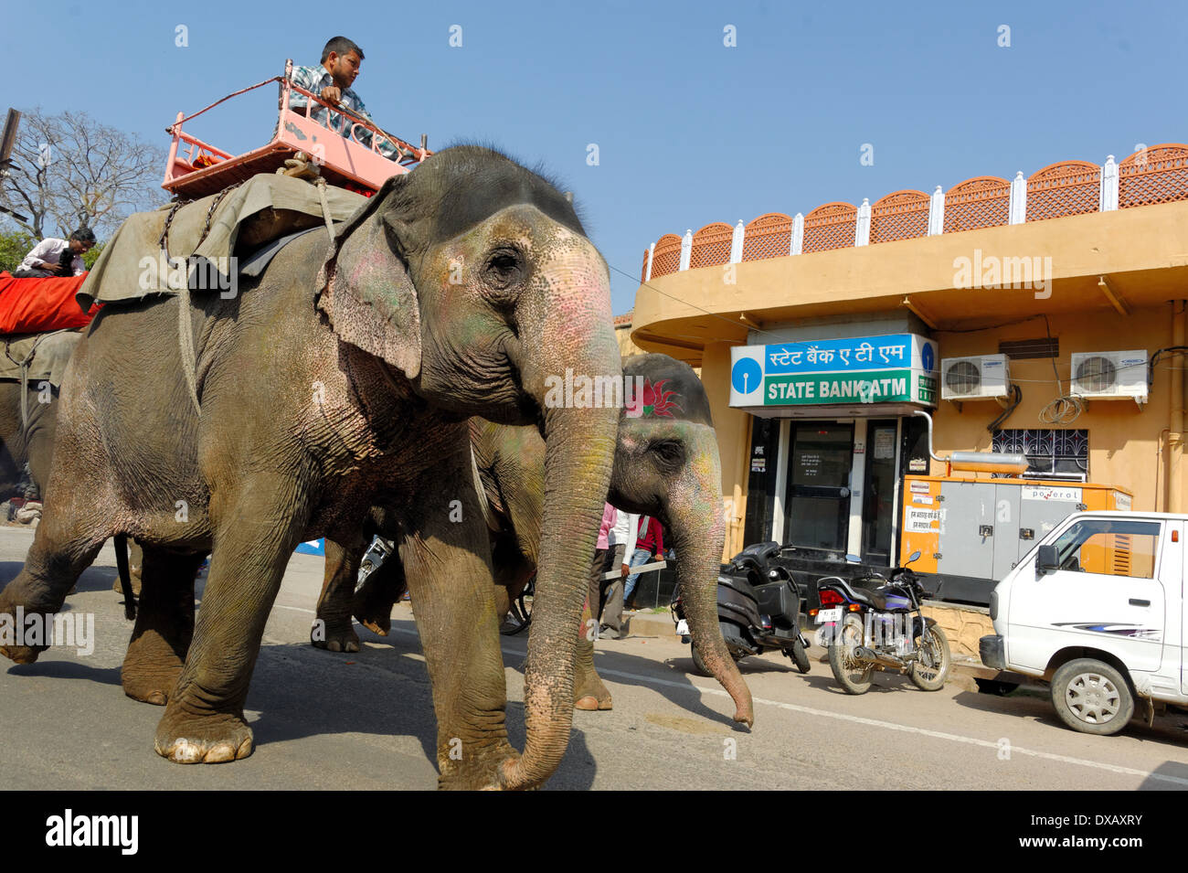 Colored Indian elephants on a street of Jaipur, India Stock Photo - Alamy