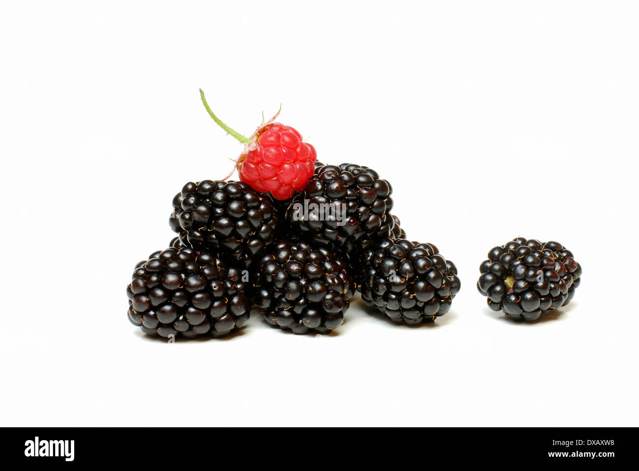 Raspberry cutout hi-res stock photography and images - Alamy