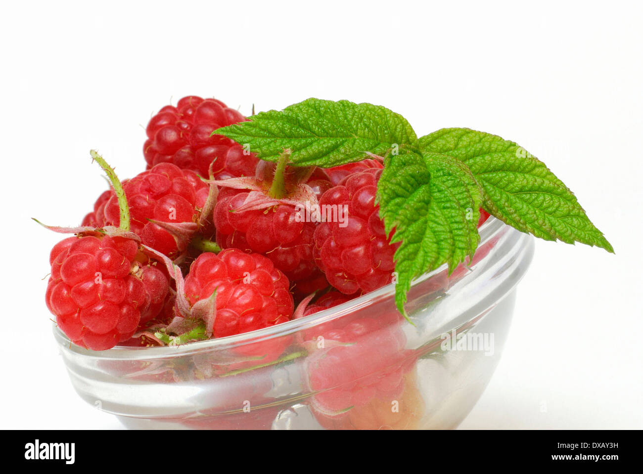 Raspberry images hi-res stock photography and images - Alamy
