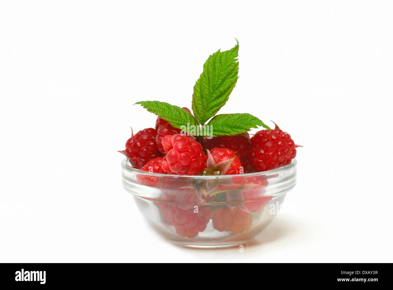 Raspberry cutout hi-res stock photography and images - Alamy