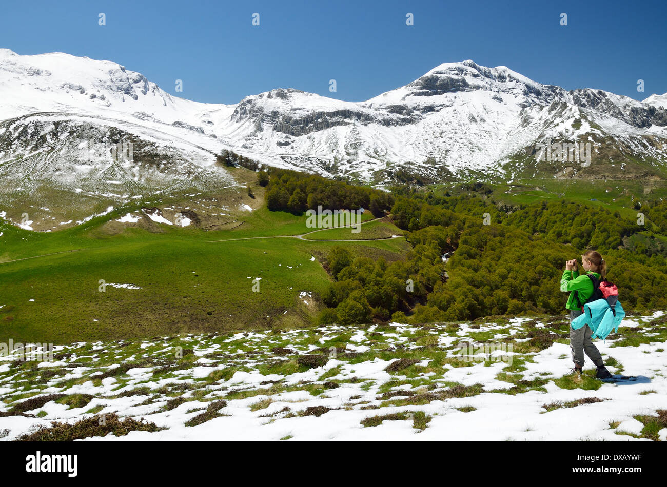 Green slope snow in hi-res stock photography and images - Alamy