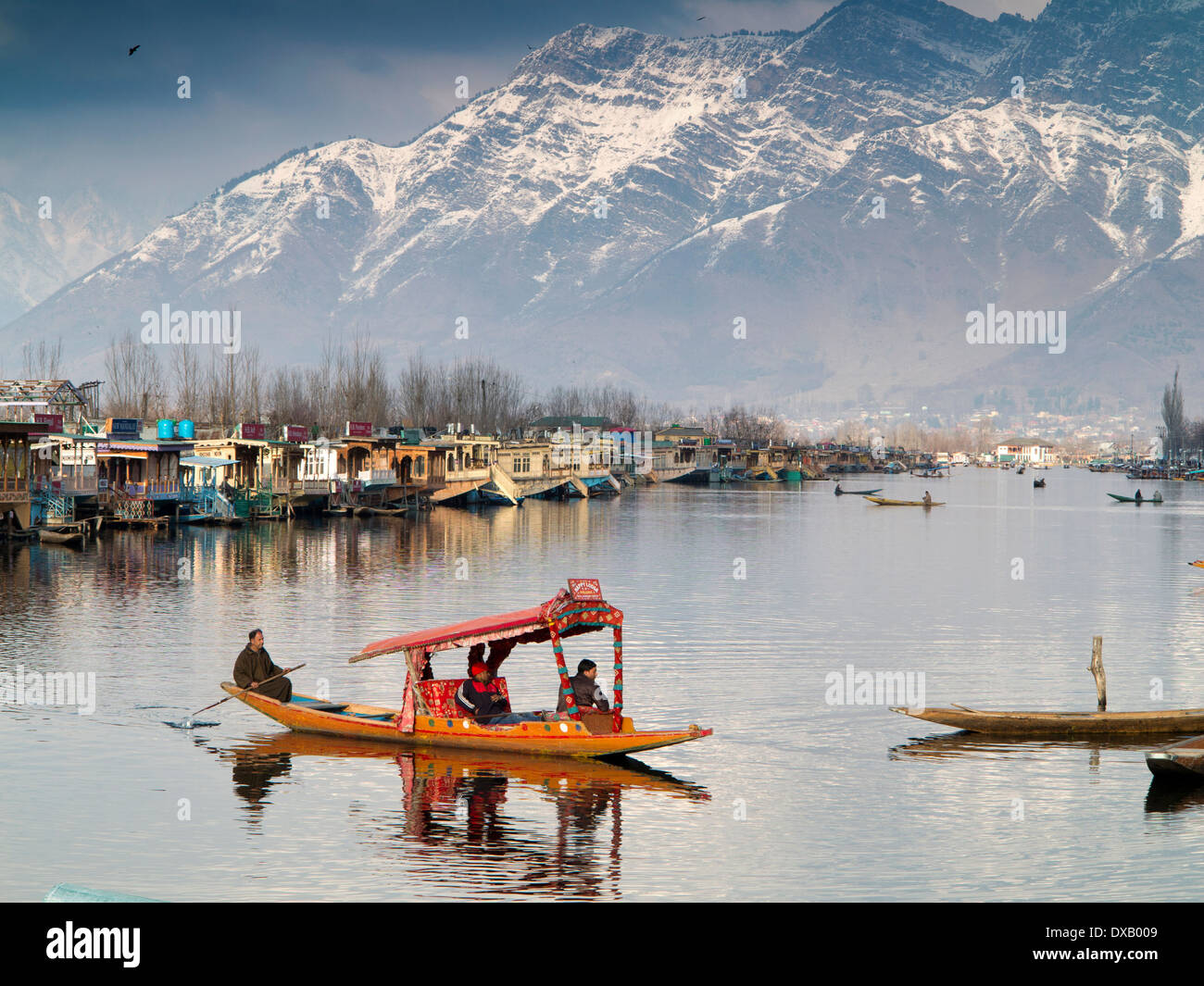 India, Kashmir, Srinagar, shikara carrying passengers from Dal Lake ...
