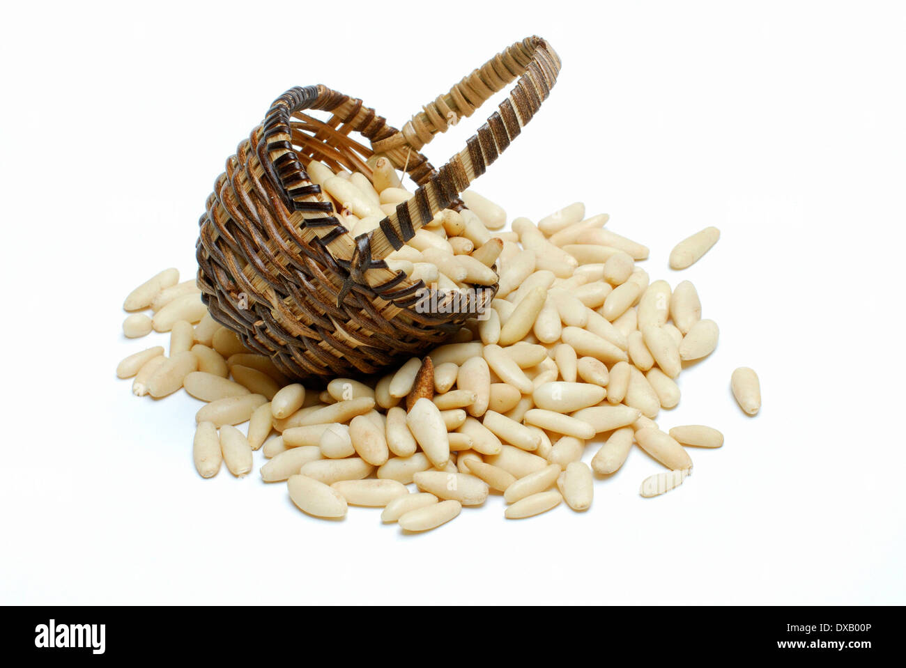 Little nuts Cut Out Stock Images & Pictures - Alamy
