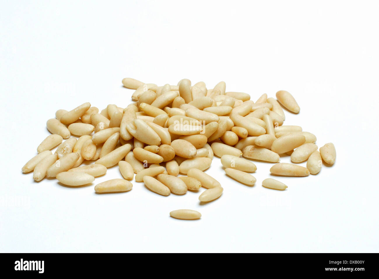 Pinus pinea cutout hi-res stock photography and images - Alamy