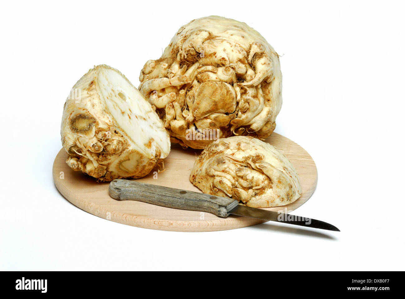 Celery apium graveolens Cut Out Stock Images & Pictures - Alamy