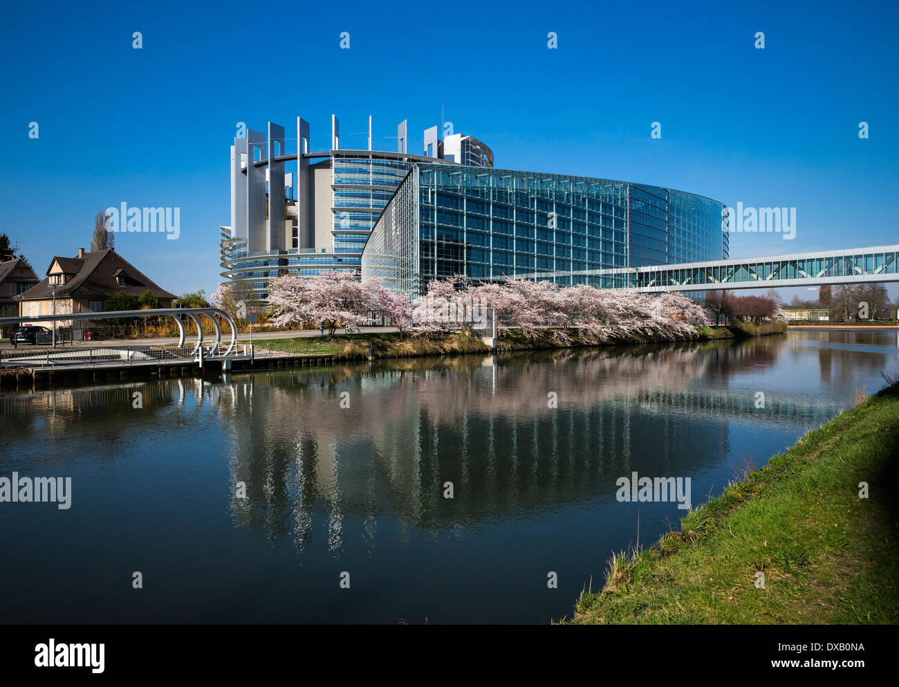 Louise Weiss building, European Parliament, landing stage, cherry ...