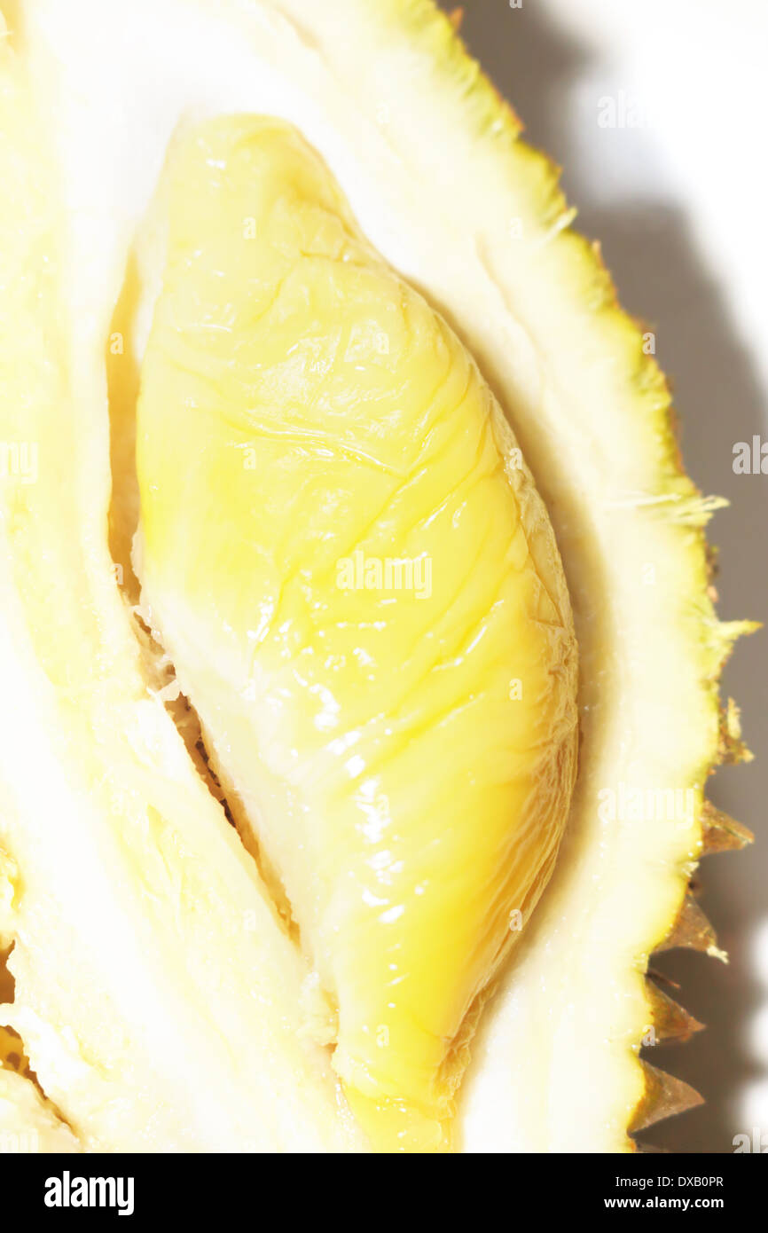 One perfect durian fruit Stock Photo - Alamy