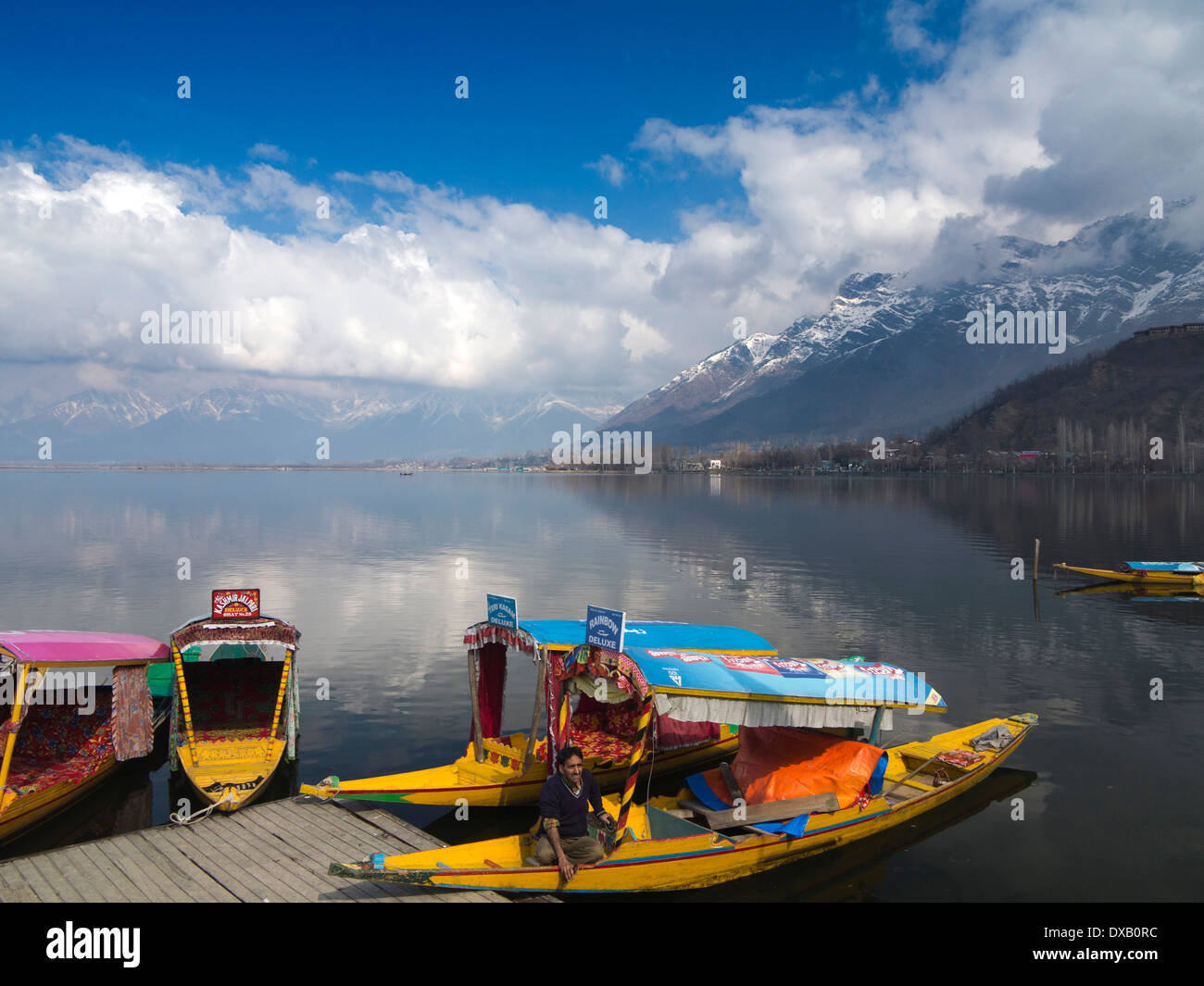 India, Kashmir, Srinagar, Dal Lake, shikaras and snow capped Zabarwan ...