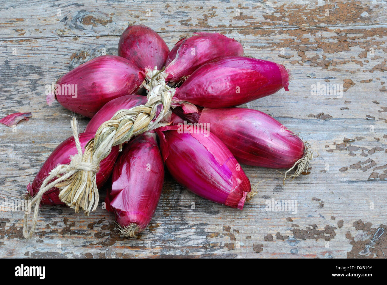 Red red onions hi-res stock photography and images - Alamy