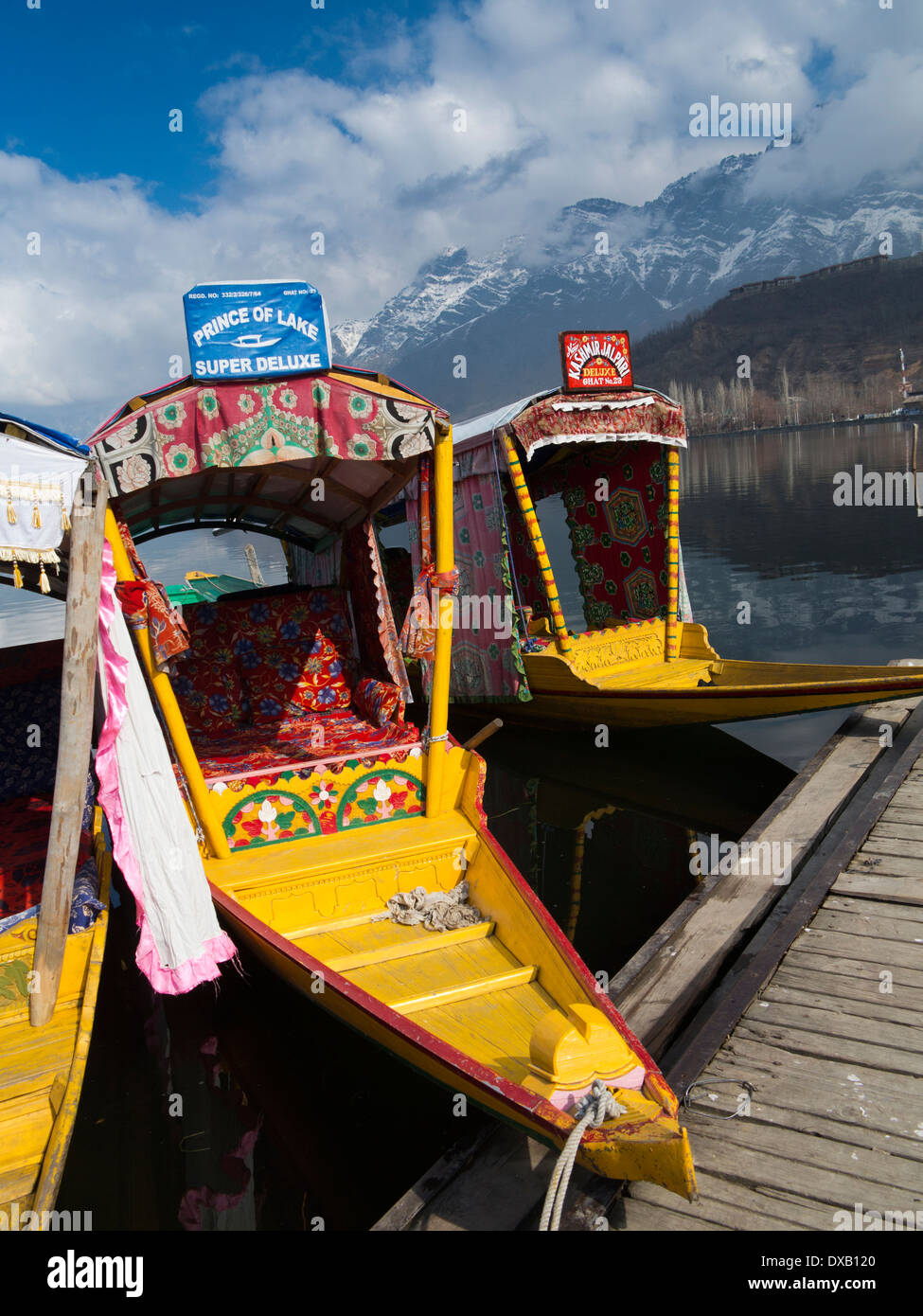 India, Kashmir, Srinagar, Dal Lake, shikaras and snow capped Zabarwan ...