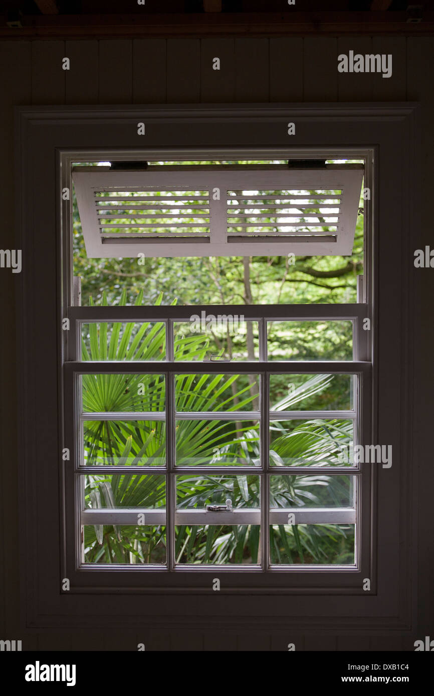 Trees window hi-res stock photography and images - Alamy
