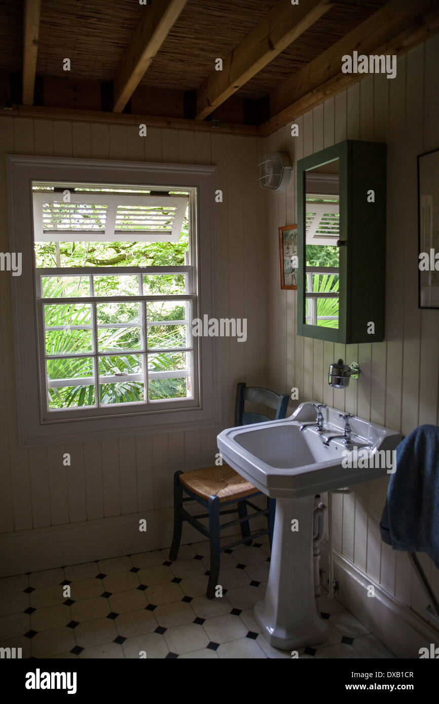 Sink trees hi-res stock photography and images - Alamy