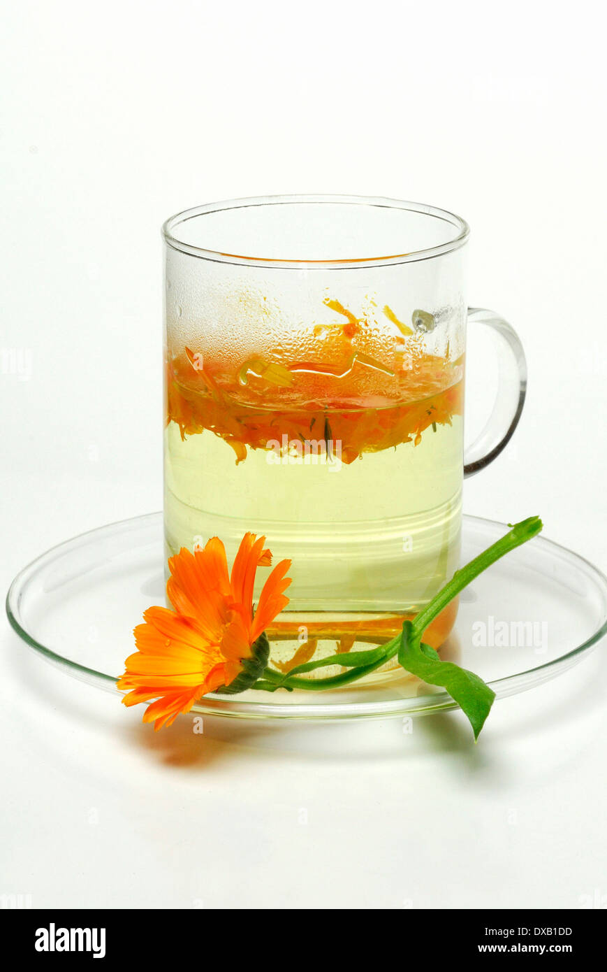 Cup calendula marigold tea hi-res stock photography and images - Alamy