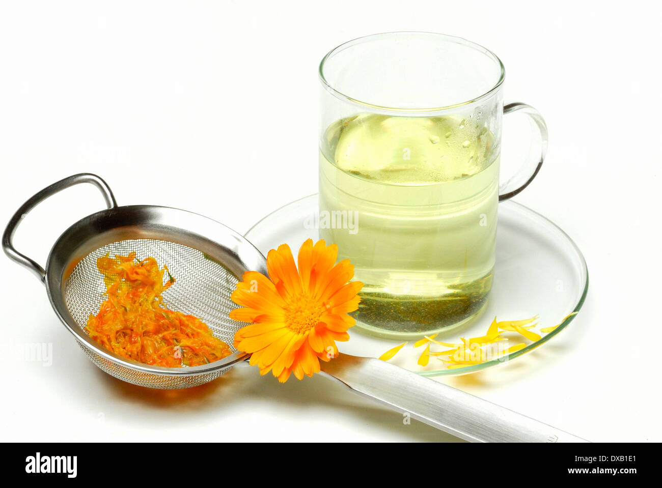 Garden Marigold tea Stock Photo - Alamy