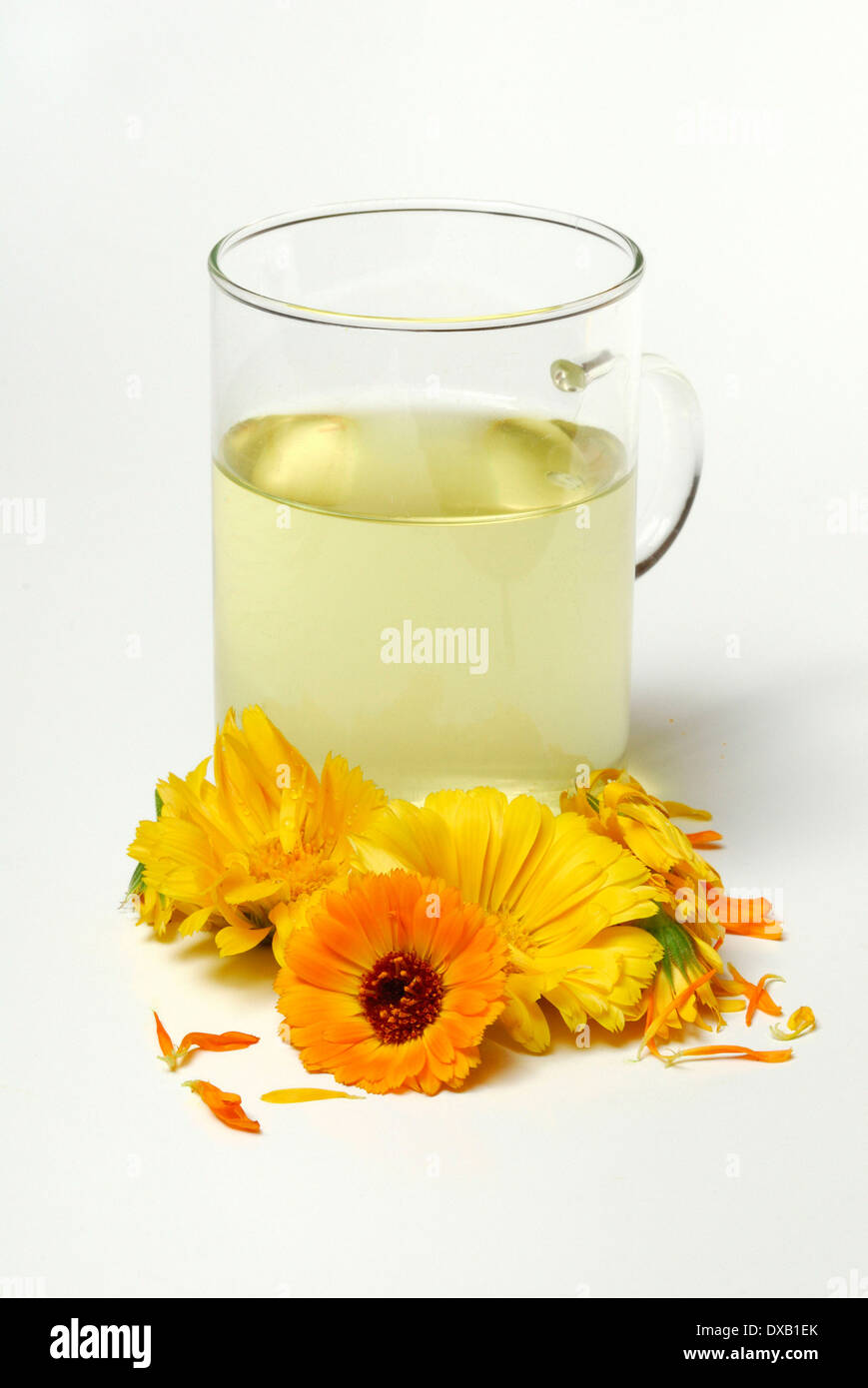 Garden Marigold tea Stock Photo - Alamy