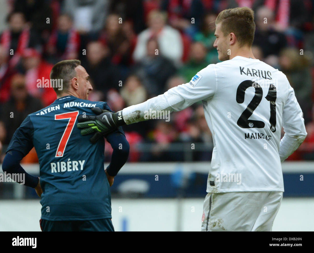 Pictures loris hi-res stock photography and images - Alamy