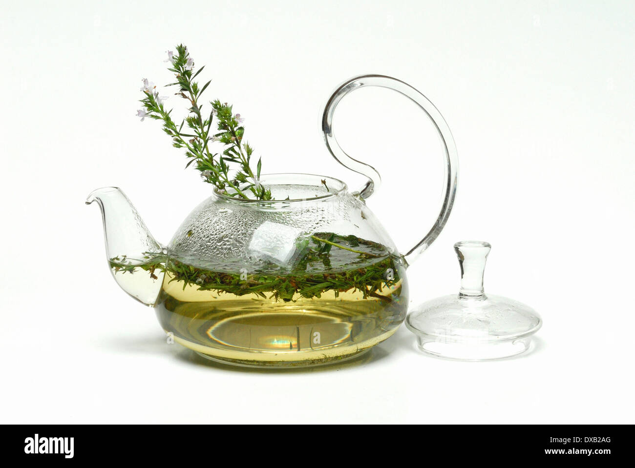 Winter savory hi-res stock photography and images - Alamy