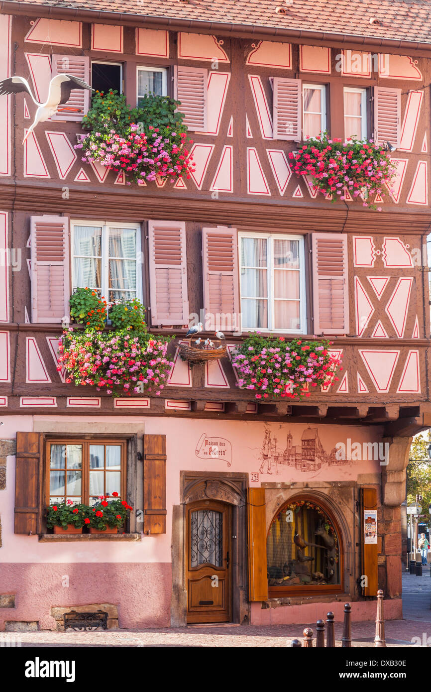 Colourful half-timbered buildings in the old town of Colmar, Alsace ...