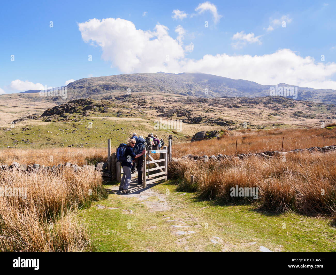 Ramblers walking through gate on Rhyd Ddu path up Mount Snowdon with ...