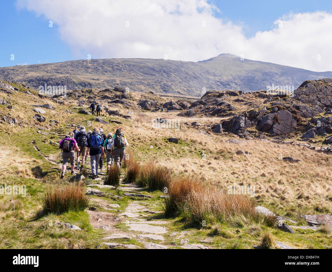 Group of Ramblers walking on Rhyd Ddu path up Mt Snowdon with view to ...
