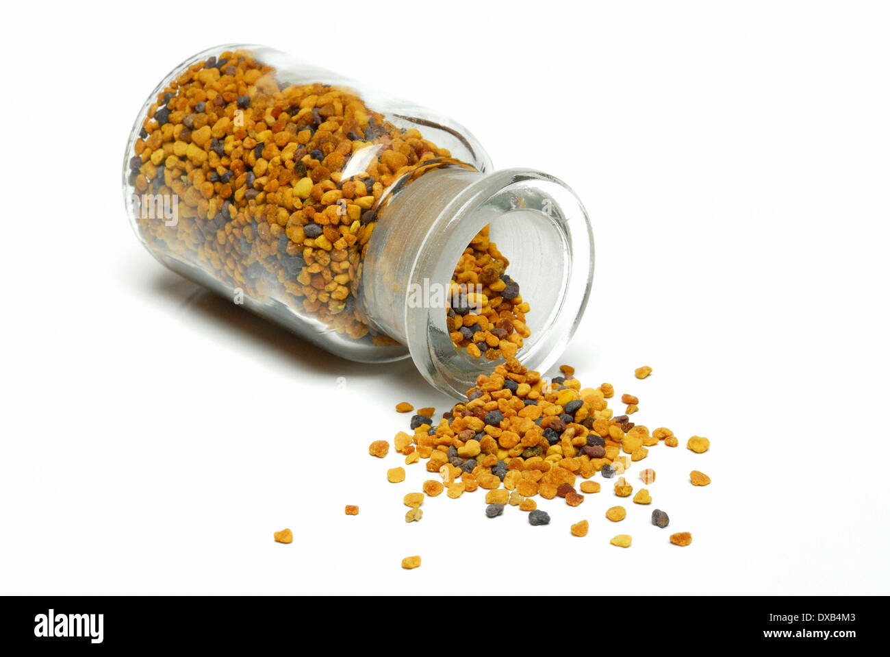 Propolis hi-res stock photography and images - Alamy