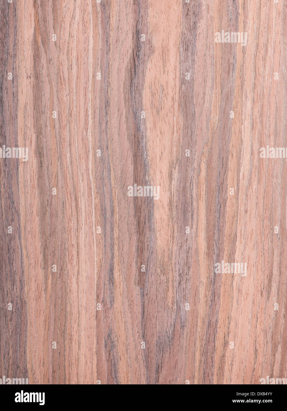walnut, wood grain, texture, tree background Stock Photo - Alamy