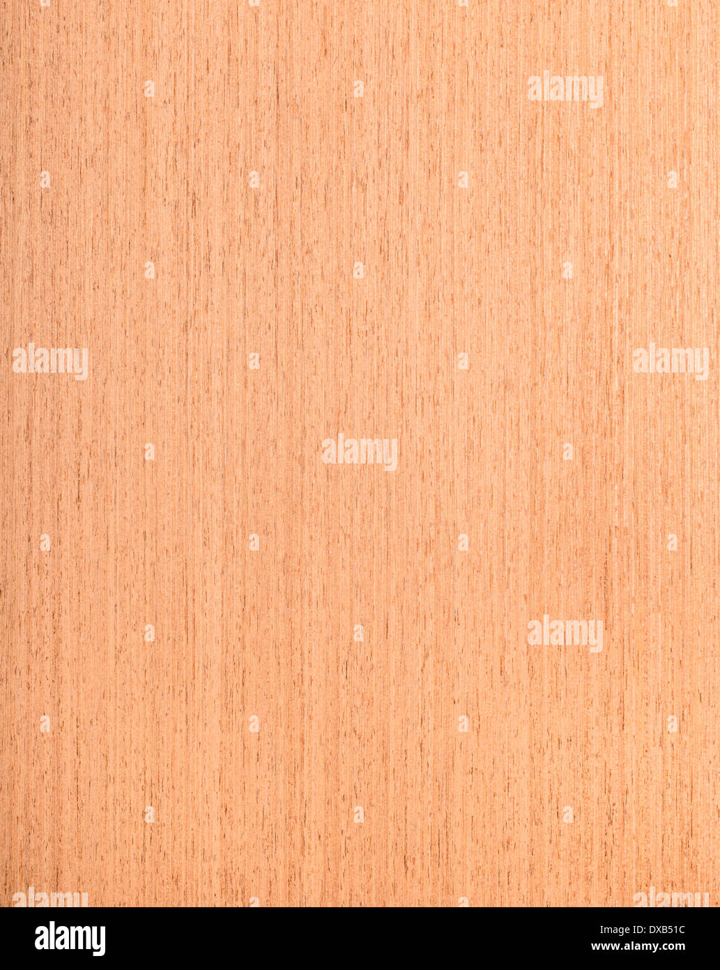 Light Walnut Texture