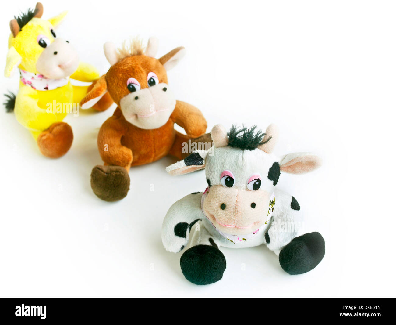 Plush cow hi-res stock photography and images - Alamy