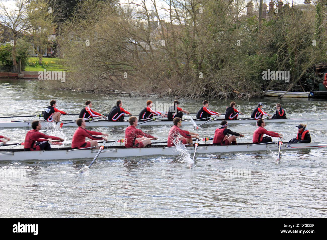 Mens eight rowing hi-res stock photography and images - Alamy