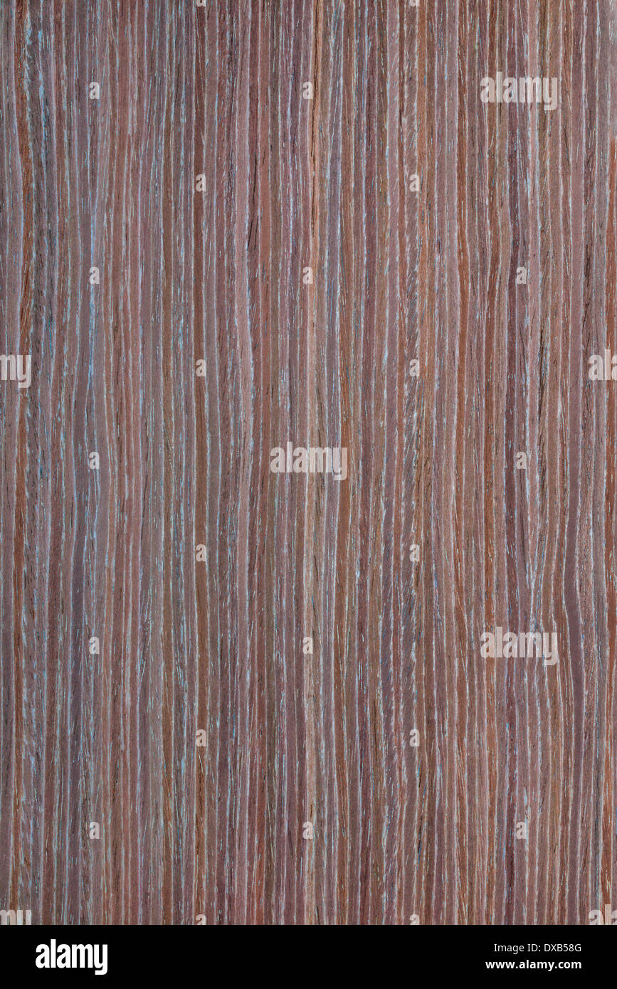 apricot wood texture, wood veneer Stock Photo - Alamy