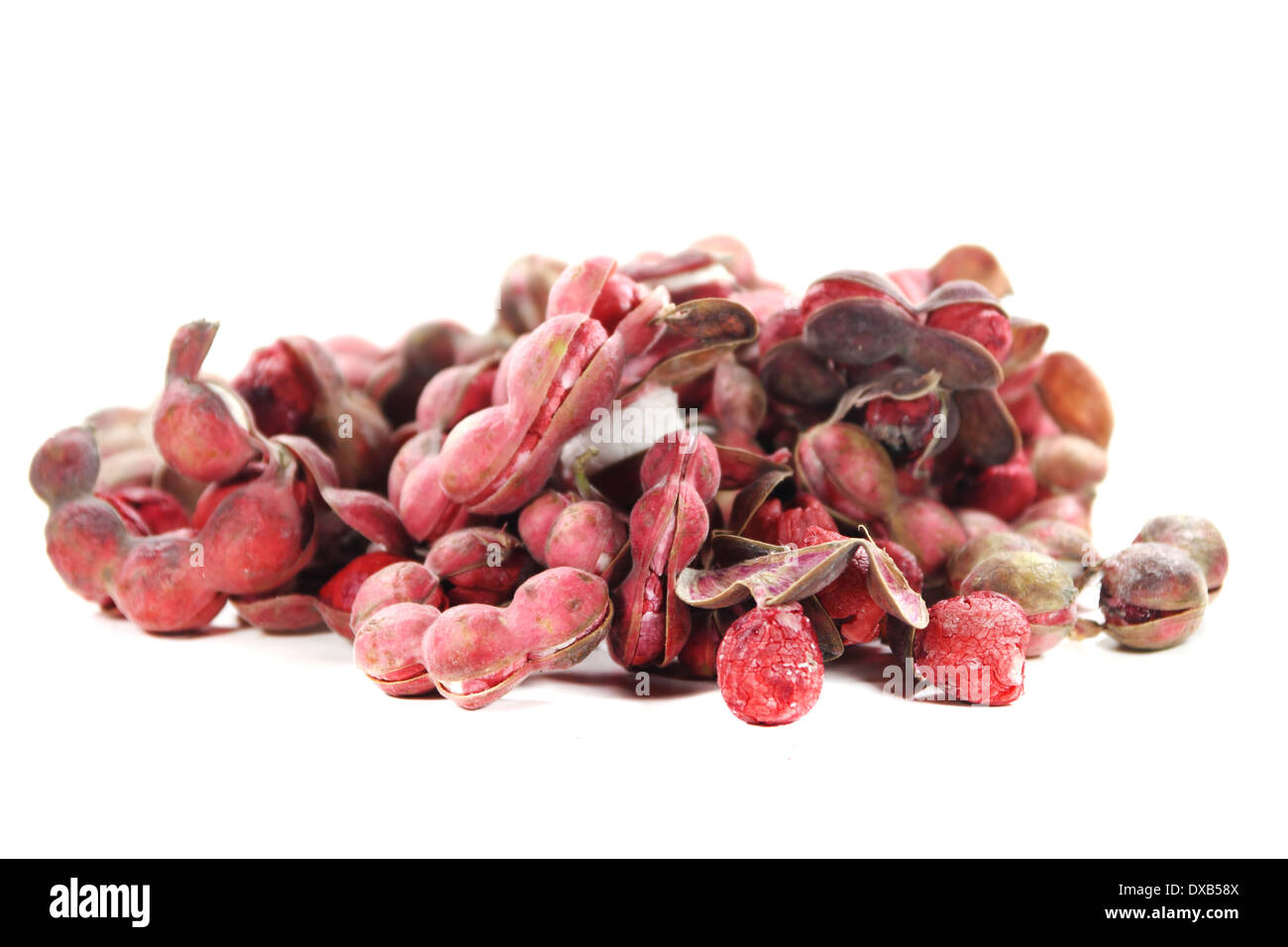 Tamarind plant hi-res stock photography and images - Alamy