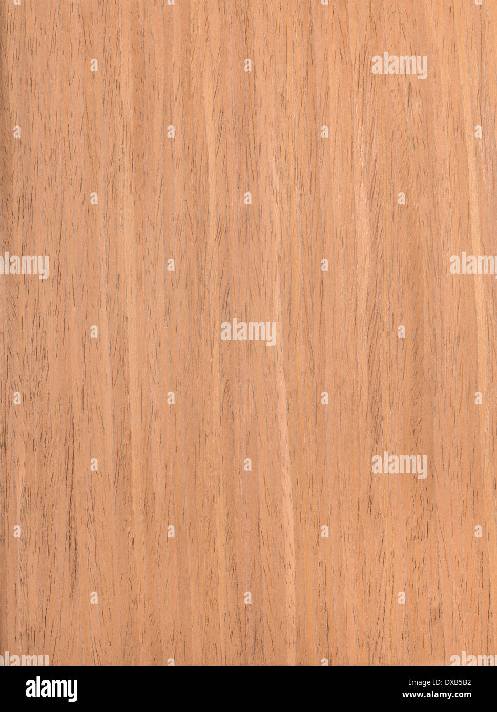 Walnut wood grain texture tree hi-res stock photography and images - Alamy