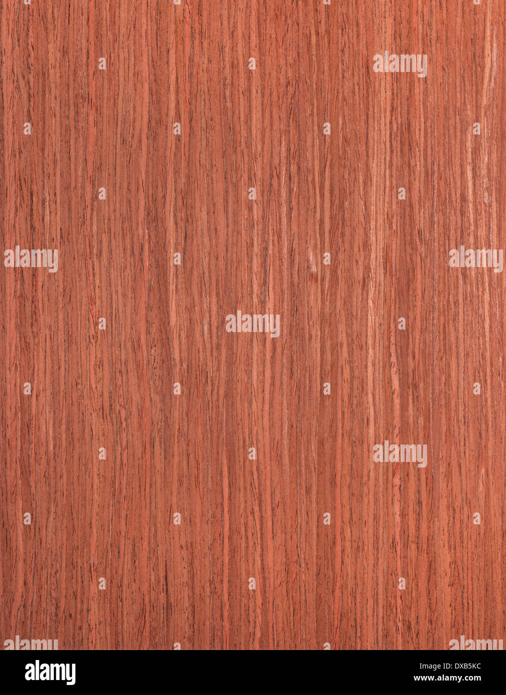 texture of cherry, wood veneer Stock Photo - Alamy