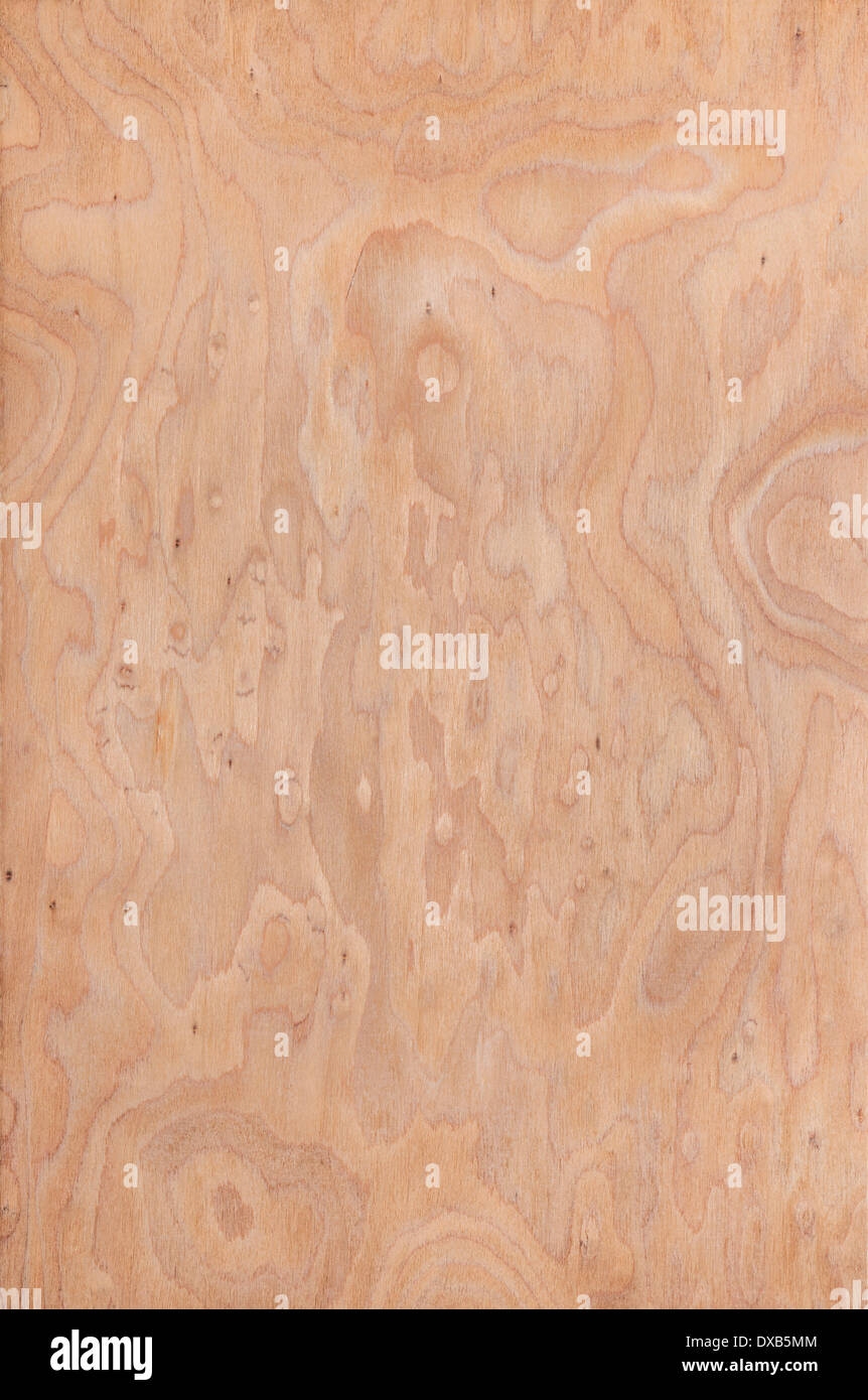 beautiful texture of root, wood background Stock Photo - Alamy