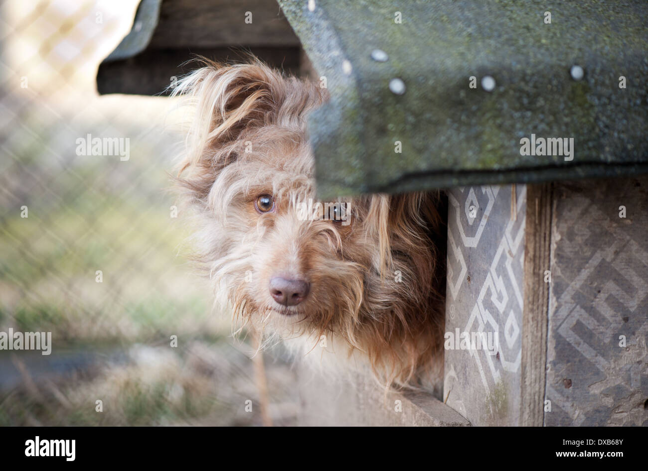 Lean head hi-res stock photography and images - Alamy