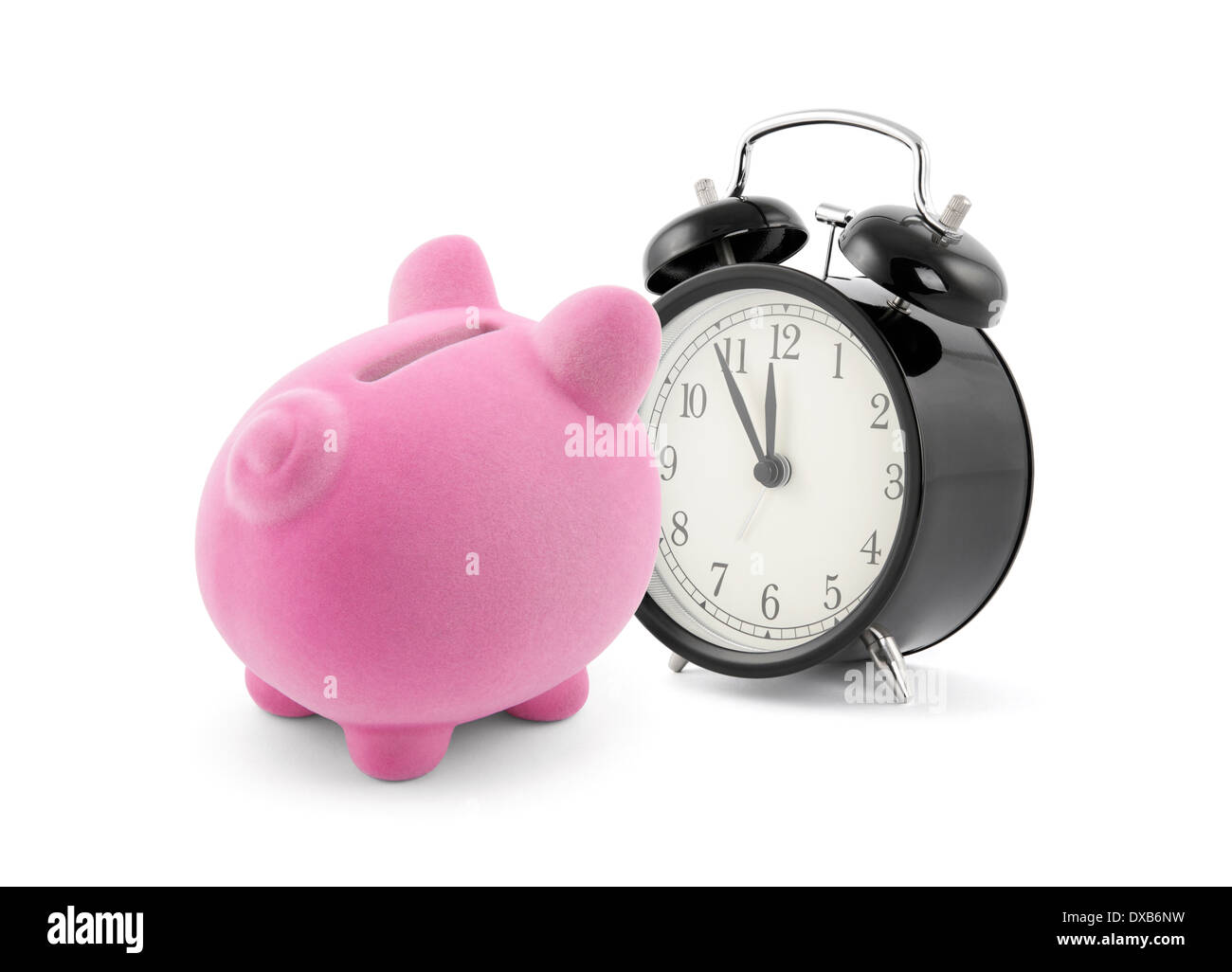 Pig timer hi-res stock photography and images - Alamy