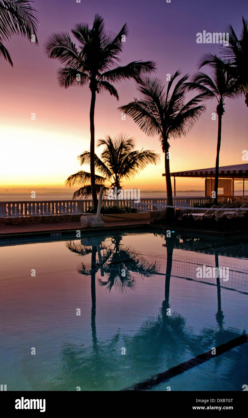Pool puerto rico san juan hi-res stock photography and images - Alamy