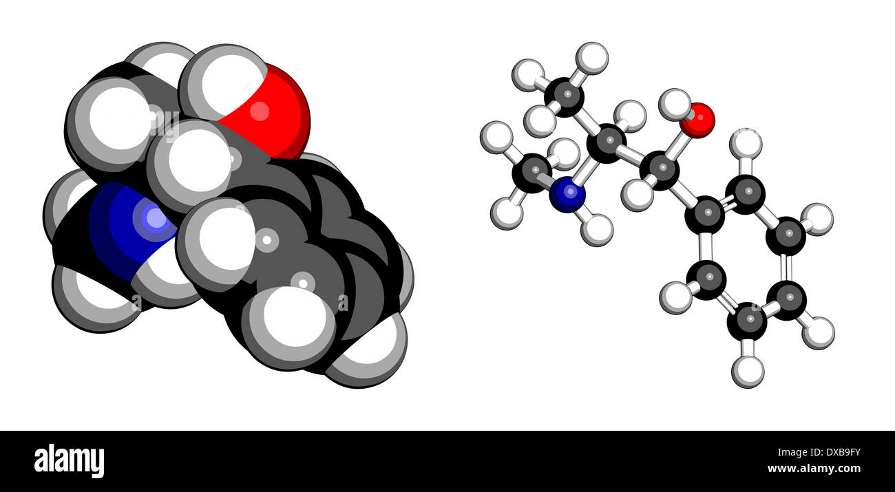 Ephedra plant hi-res stock photography and images - Alamy