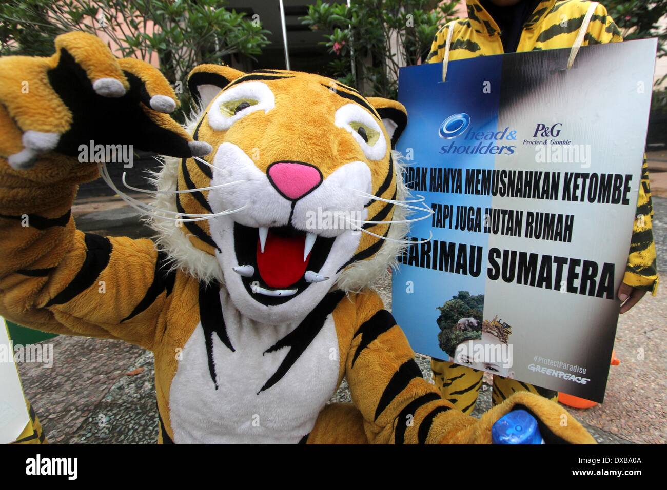 Efforts to save the tigers hi-res stock photography and images - Alamy