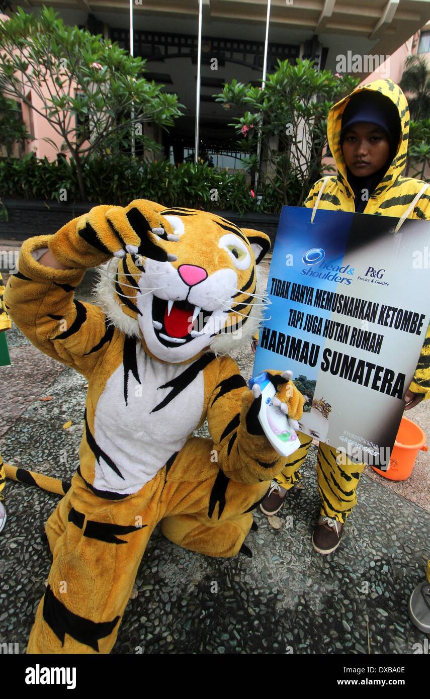 Efforts to save the tigers hi-res stock photography and images - Alamy