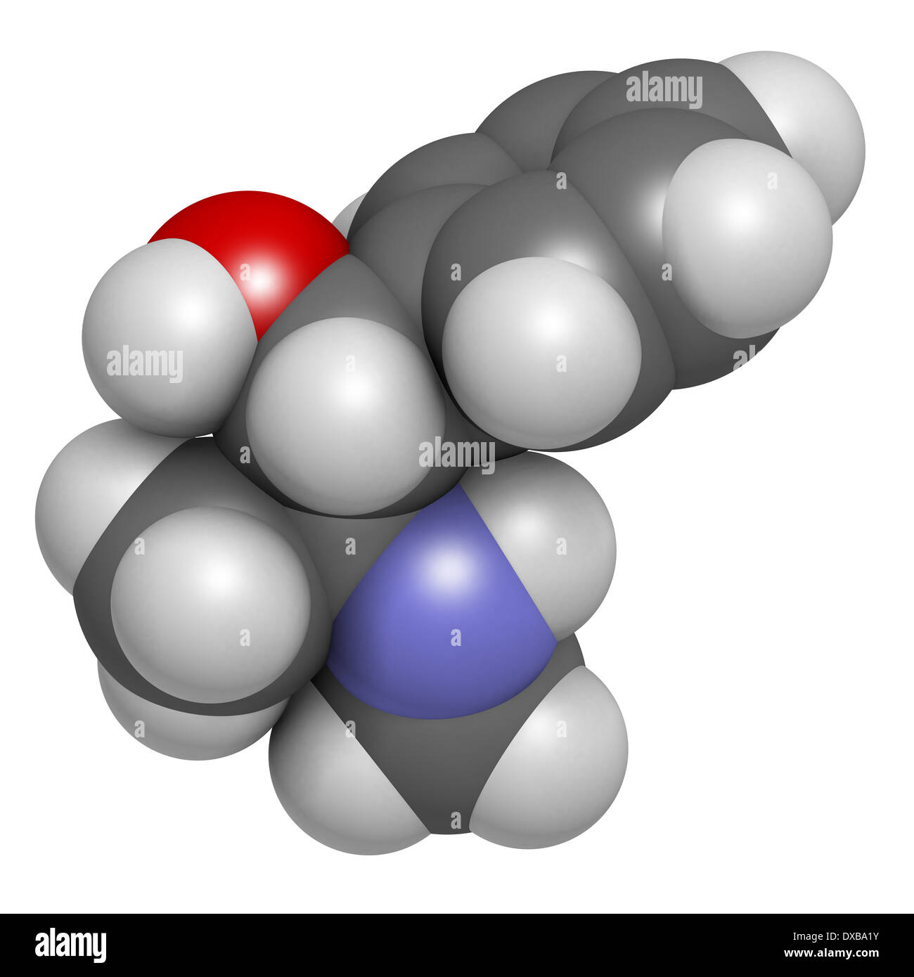 Ephedra medicine Cut Out Stock Images & Pictures - Alamy
