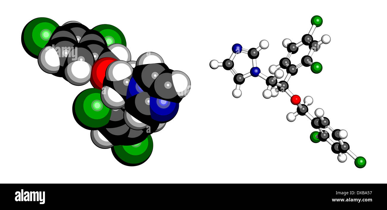 Miconazole antifungal drug molecule. Imidazole class antimycotic, used ...